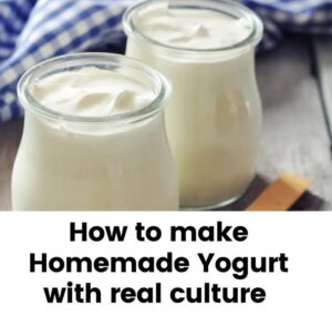 How to make Homemade Yogurt with Real Culture